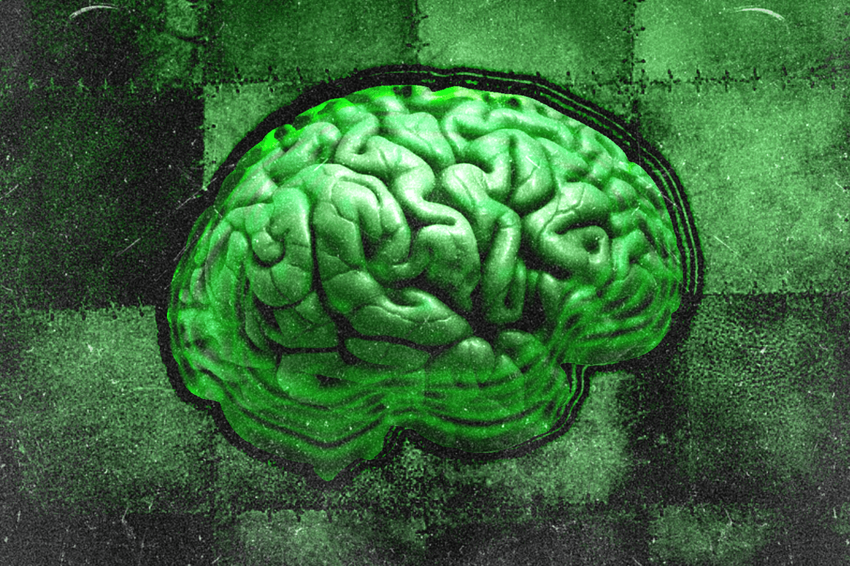 The brain of Frankenstein: Psych professors dissect a monster – Velocity