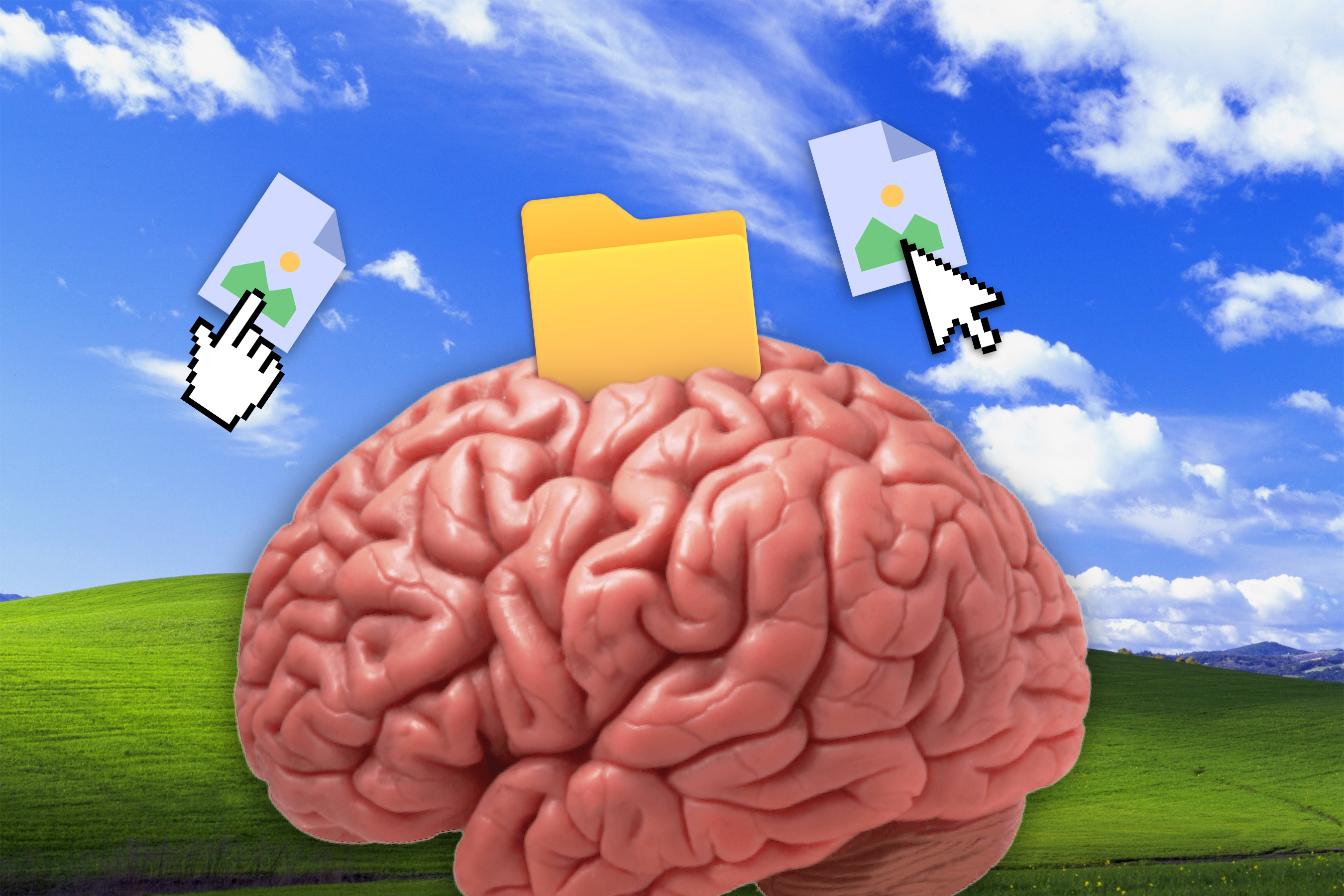 Essay > We’re All Walking and Talking Memory Banks – Velocity
